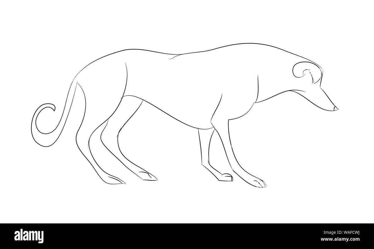 dog stands lines, vector, white background, dog stands Stock Vector ...