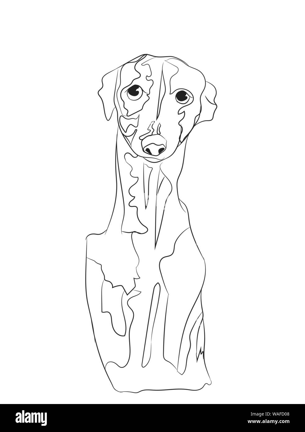 dog portrait, lines, vector, white background Stock Vector Image & Art ...