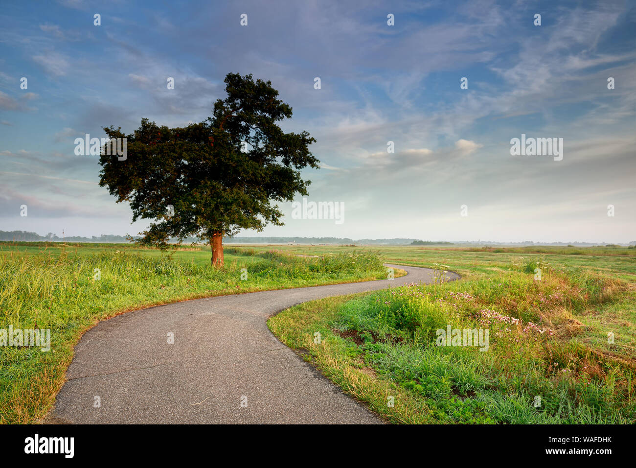 Flat curved road hi-res stock photography and images - Alamy