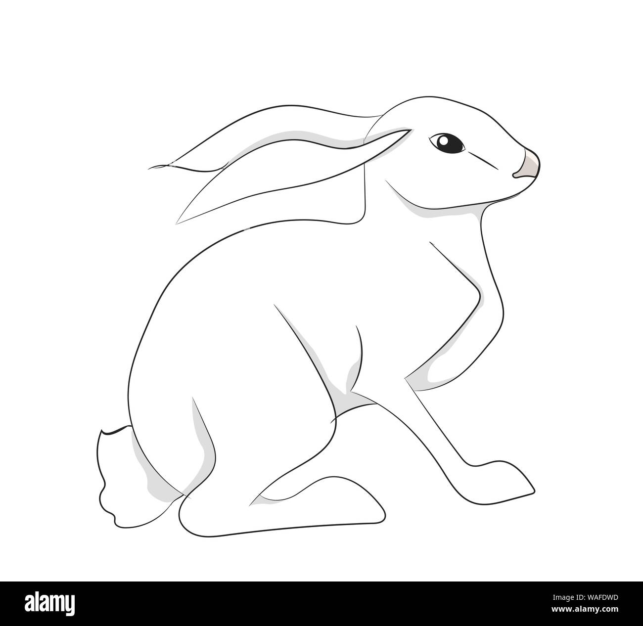 white hare vector, white background Stock Vector Image & Art - Alamy
