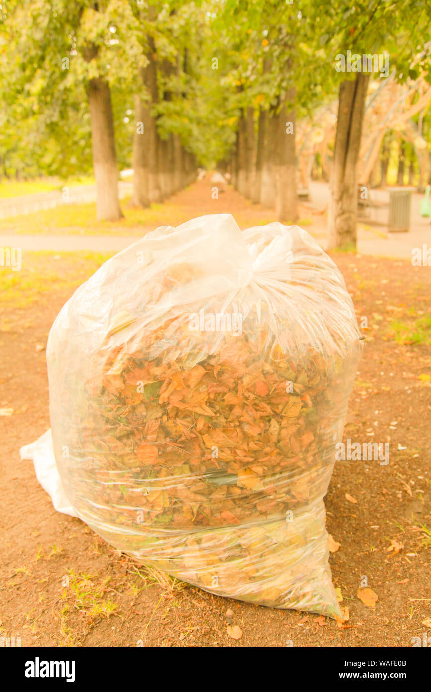 Heap pile and garbage in autumn. Nature scene from autumn plaster Stock ...