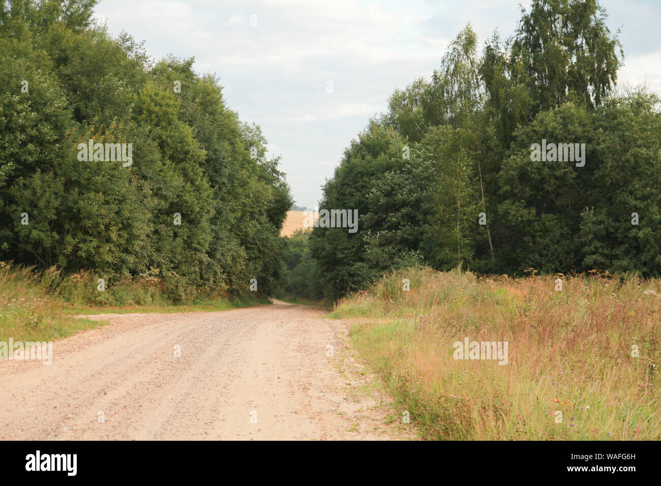 nobody. big wide yellow road near the park outdoor trees Stock Photo ...