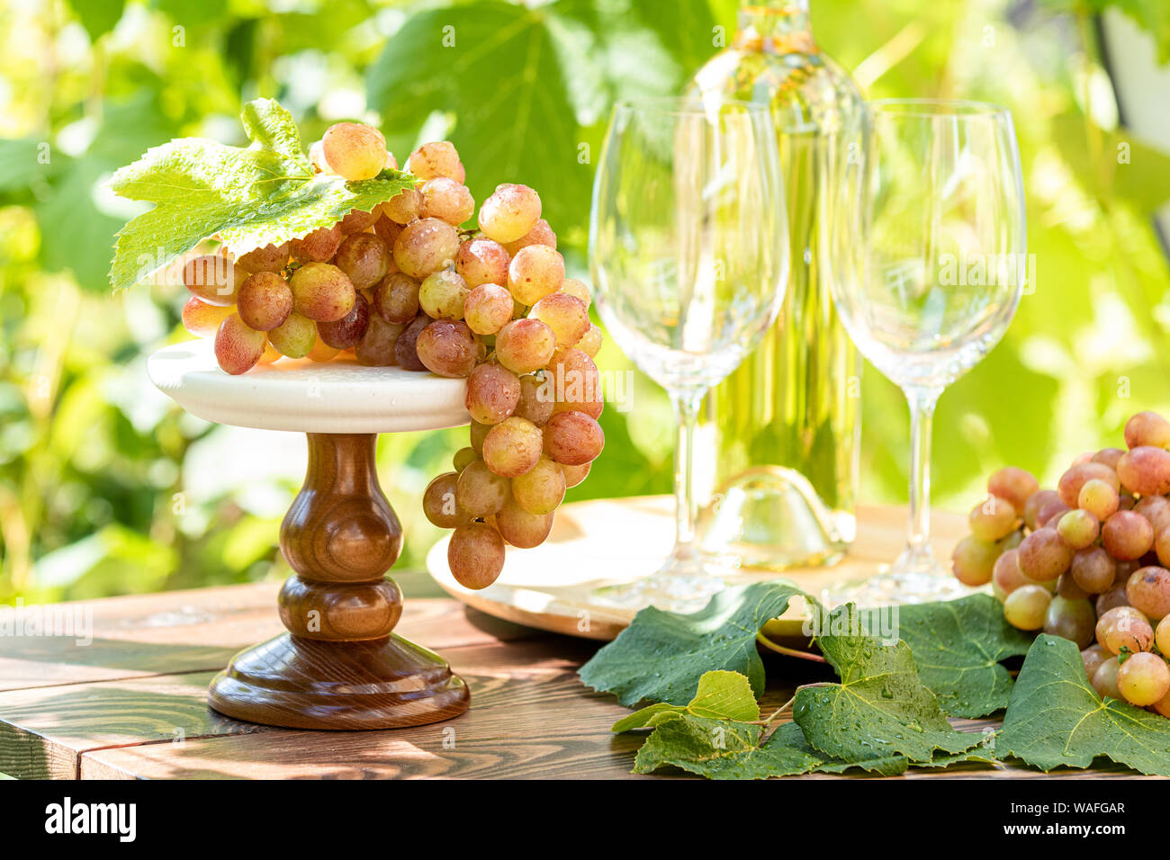 Bunch of grapes with water drops on the table. Wine glasses and bottle ...