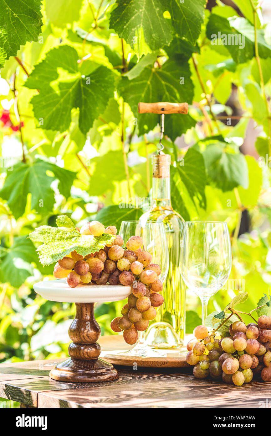 Bunch of grapes with water drops on the table. Wine glasses and bottle ...