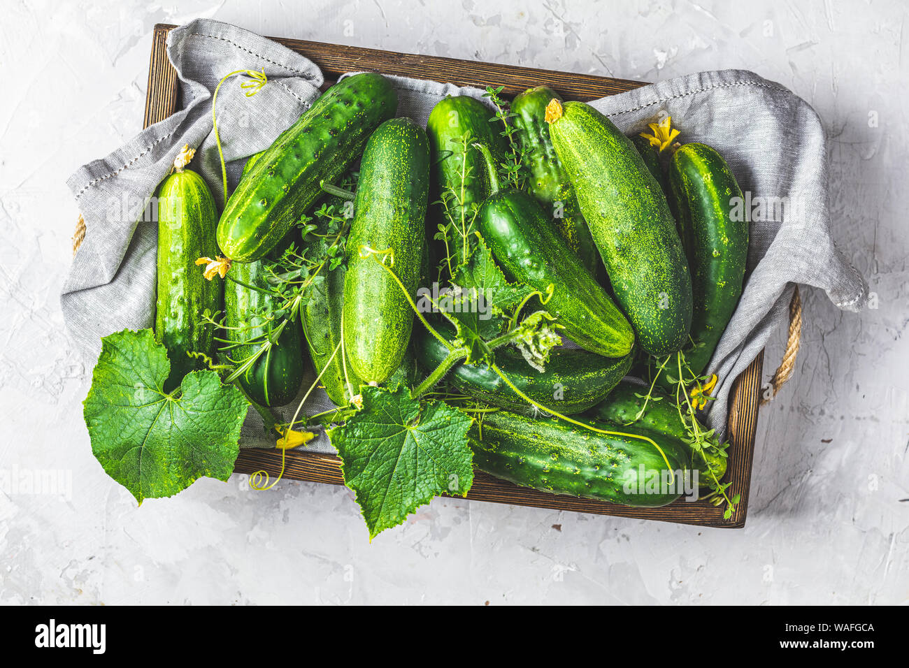 Green fresh cucumber in wooden box on light gray concrete surface table. Flat lay, top view. Gmo ...