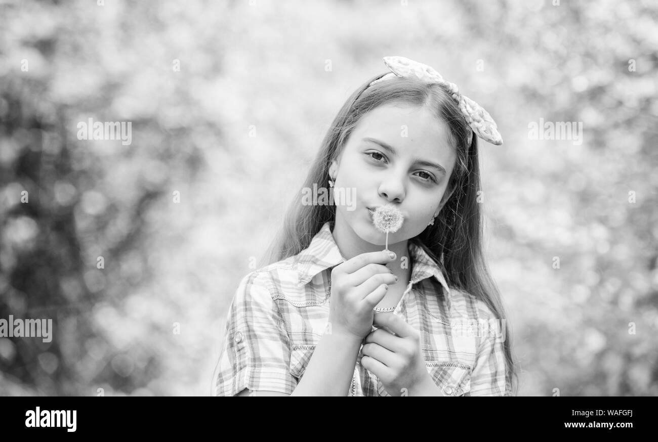 Dandelions on full bloom Black and White Stock Photos & Images - Alamy
