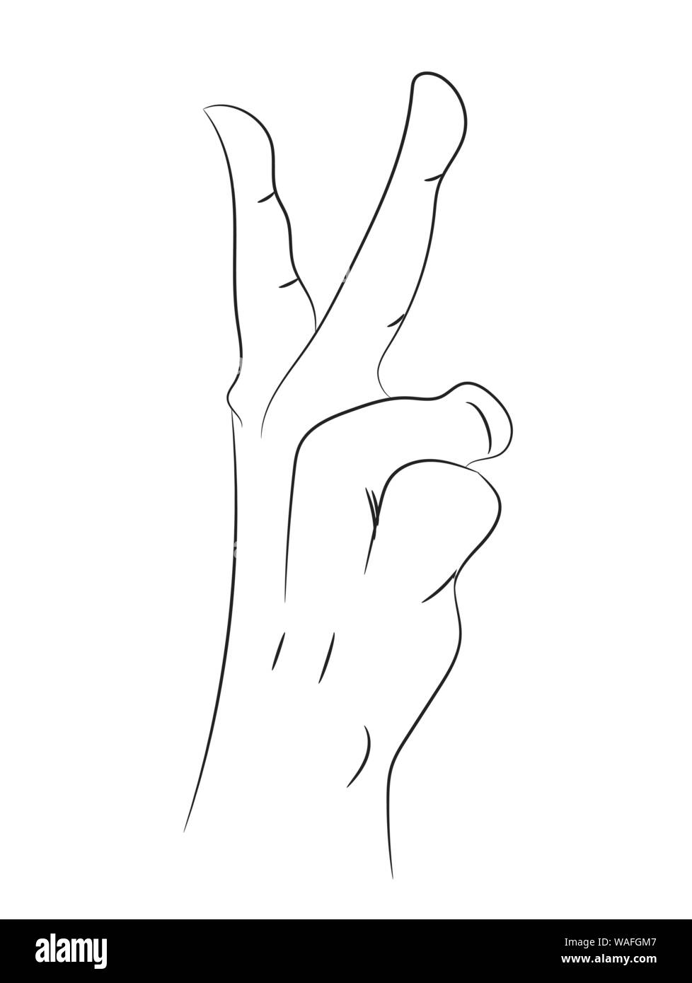 hand drawn lines, white background Stock Vector Image & Art - Alamy