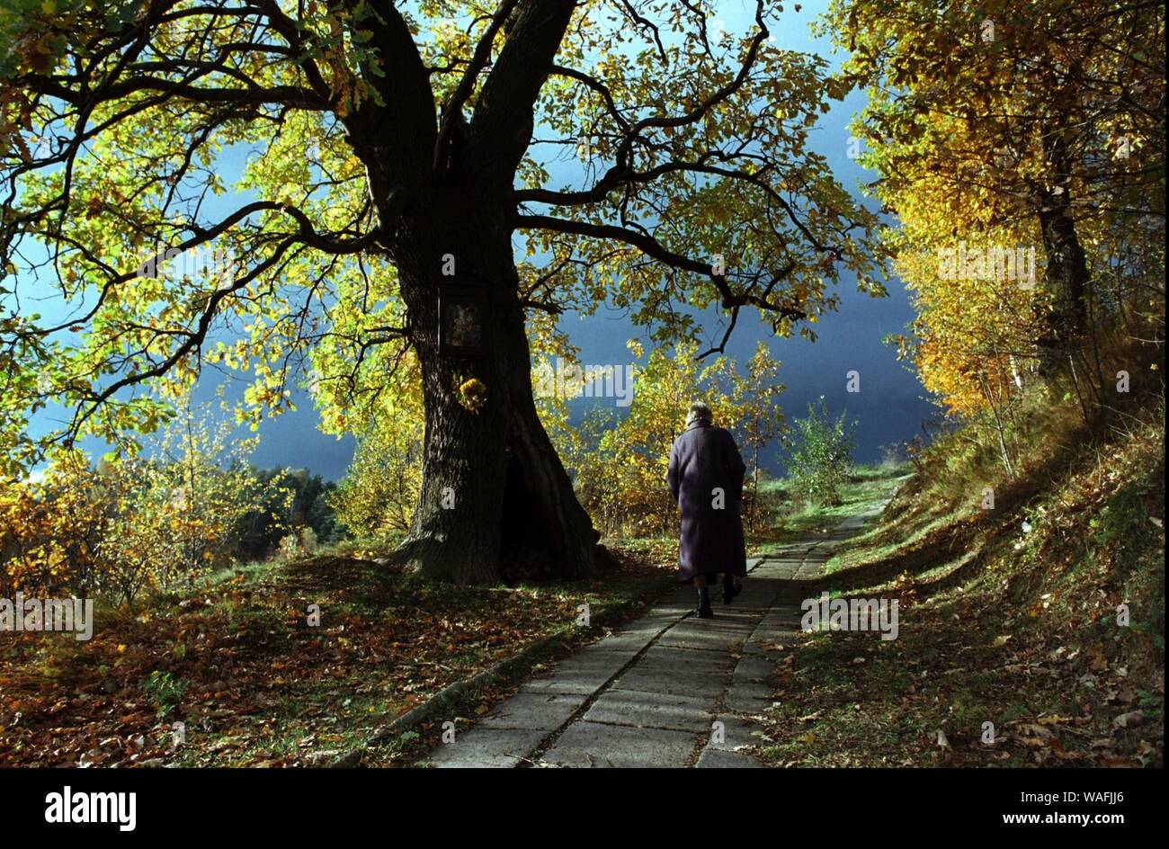 Gorlice High Resolution Stock Photography and Images - Alamy