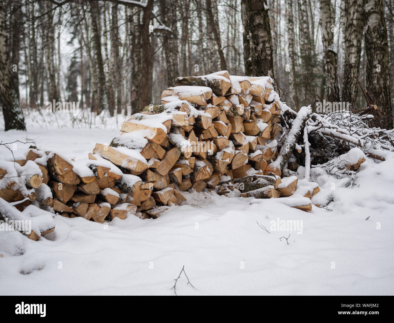 Stack Of Logs Covered With Snow In The Winter Forest Stock Photo - Alamy