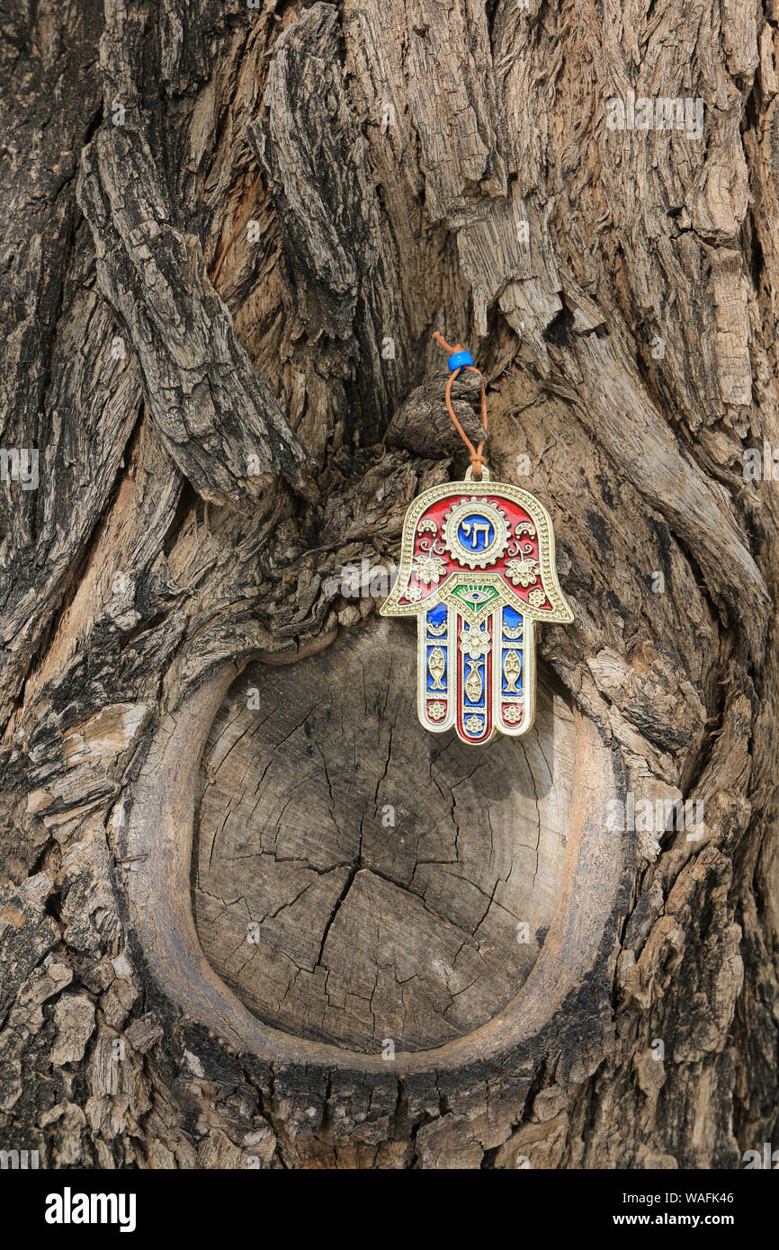 Khomsa on a tree trunk Stock Photo - Alamy