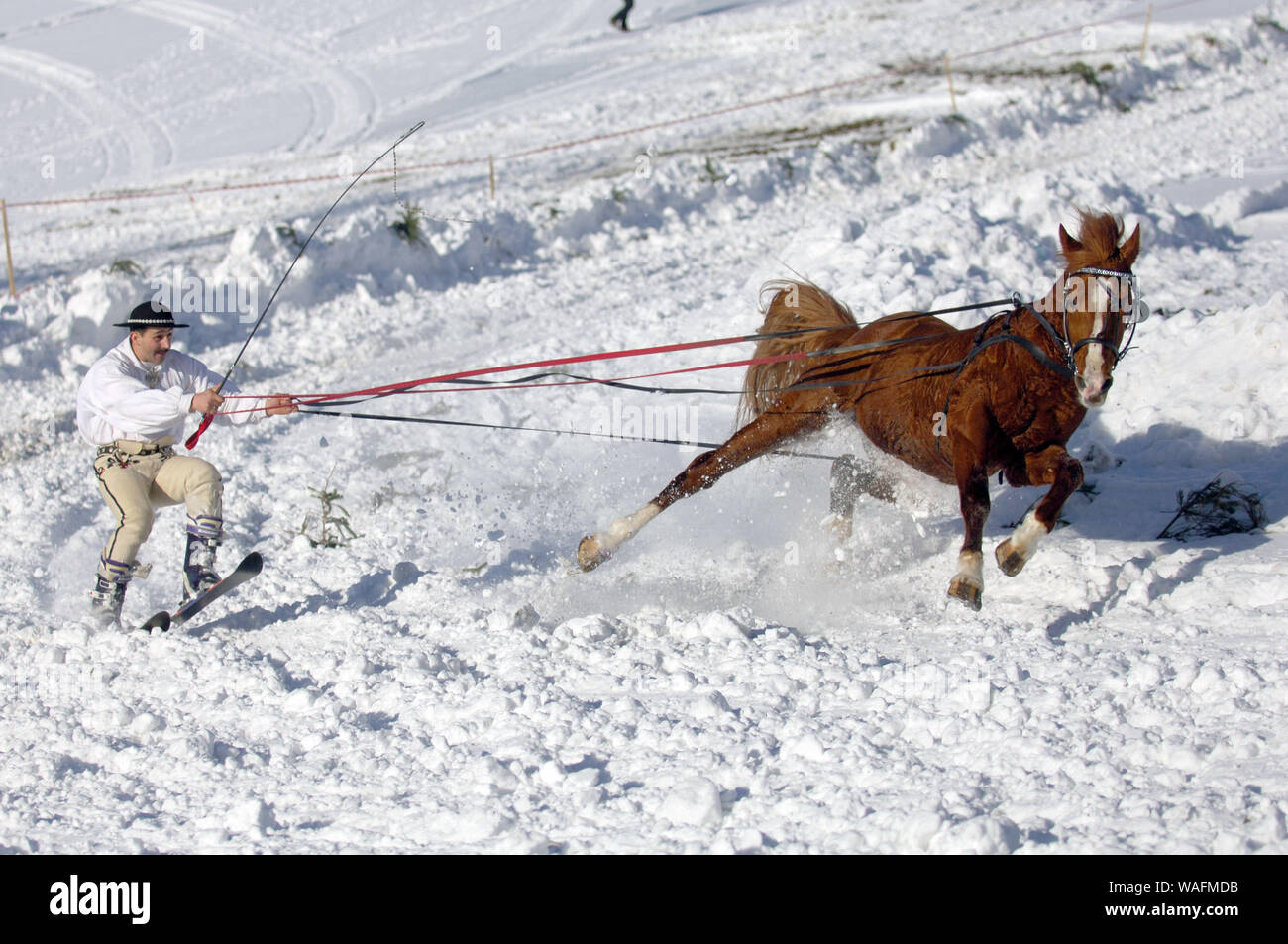 Carnival horse race game High Resolution Stock Photography and Images ...