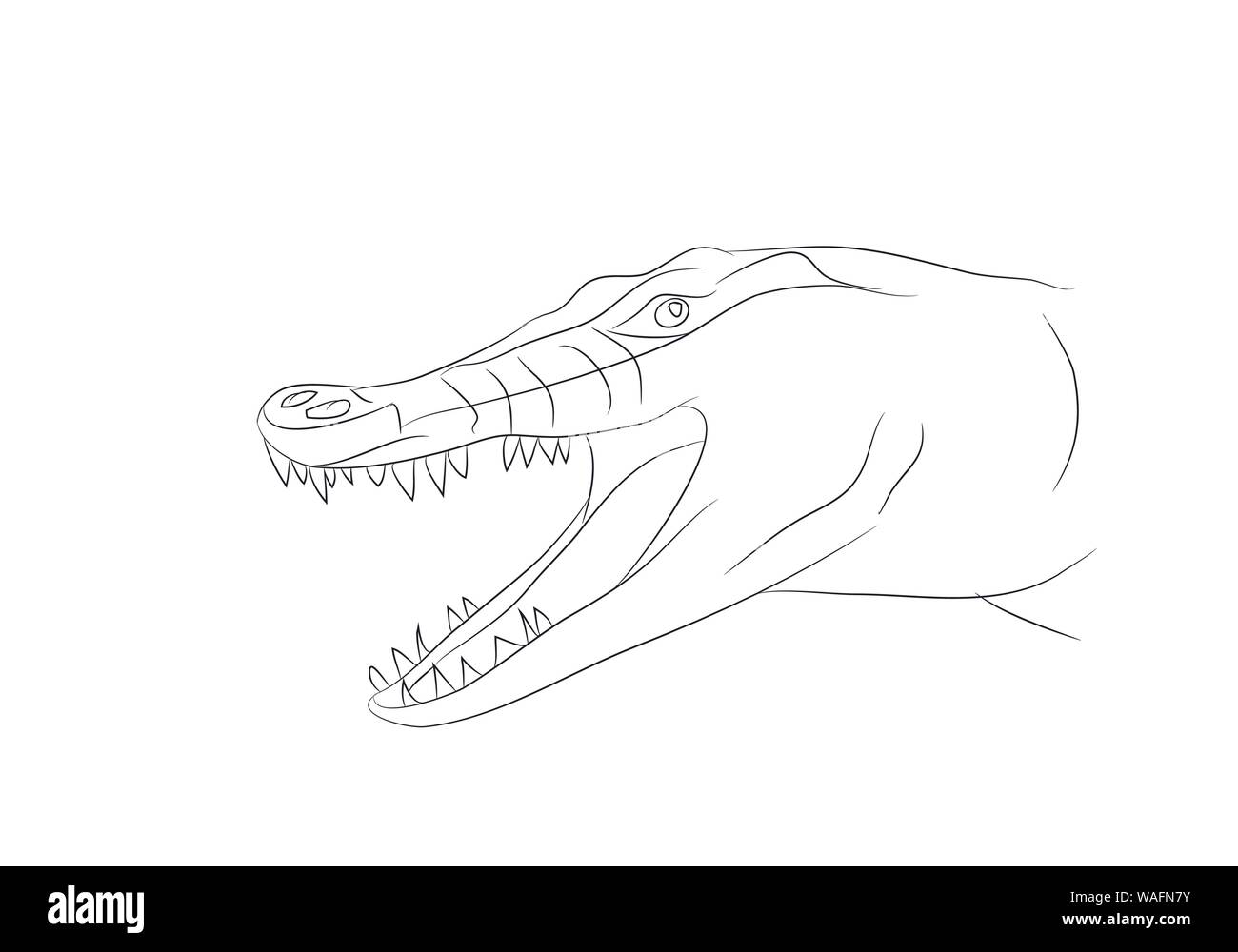 vector illustration of a crocodile portrait, drawing by lines, vector ...