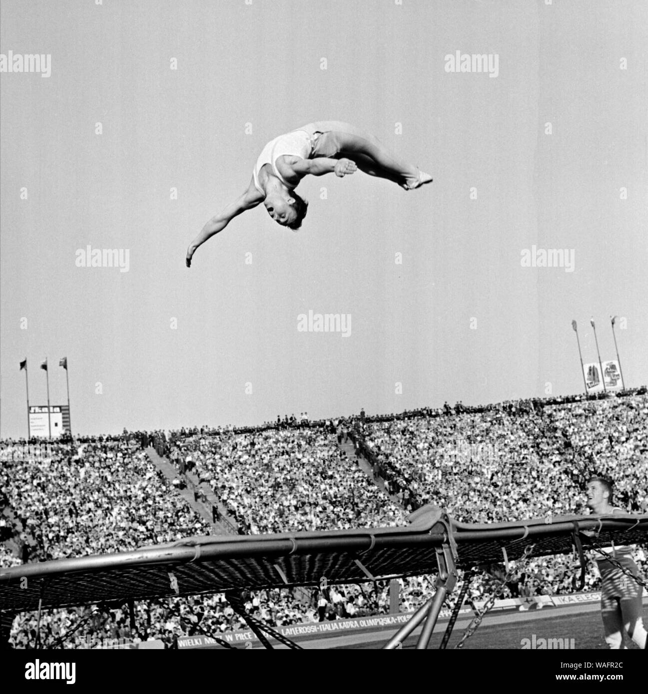 Show Jumping 1970s High Resolution Stock Photography and Images - Alamy