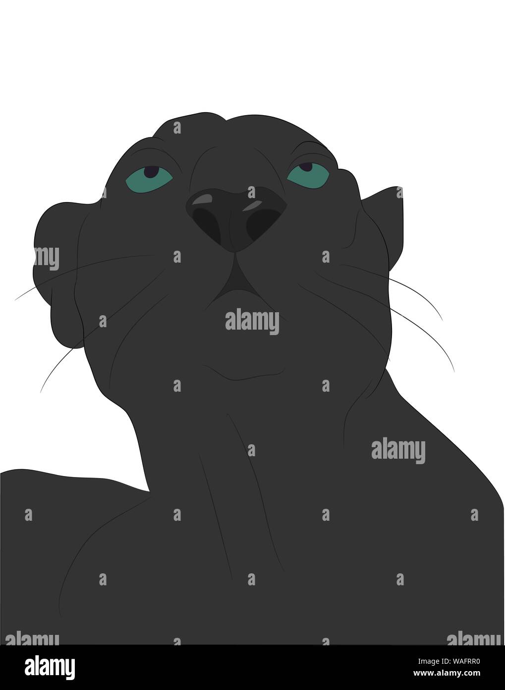 vector illustration of panther portrait, drawing color, vector, white ...