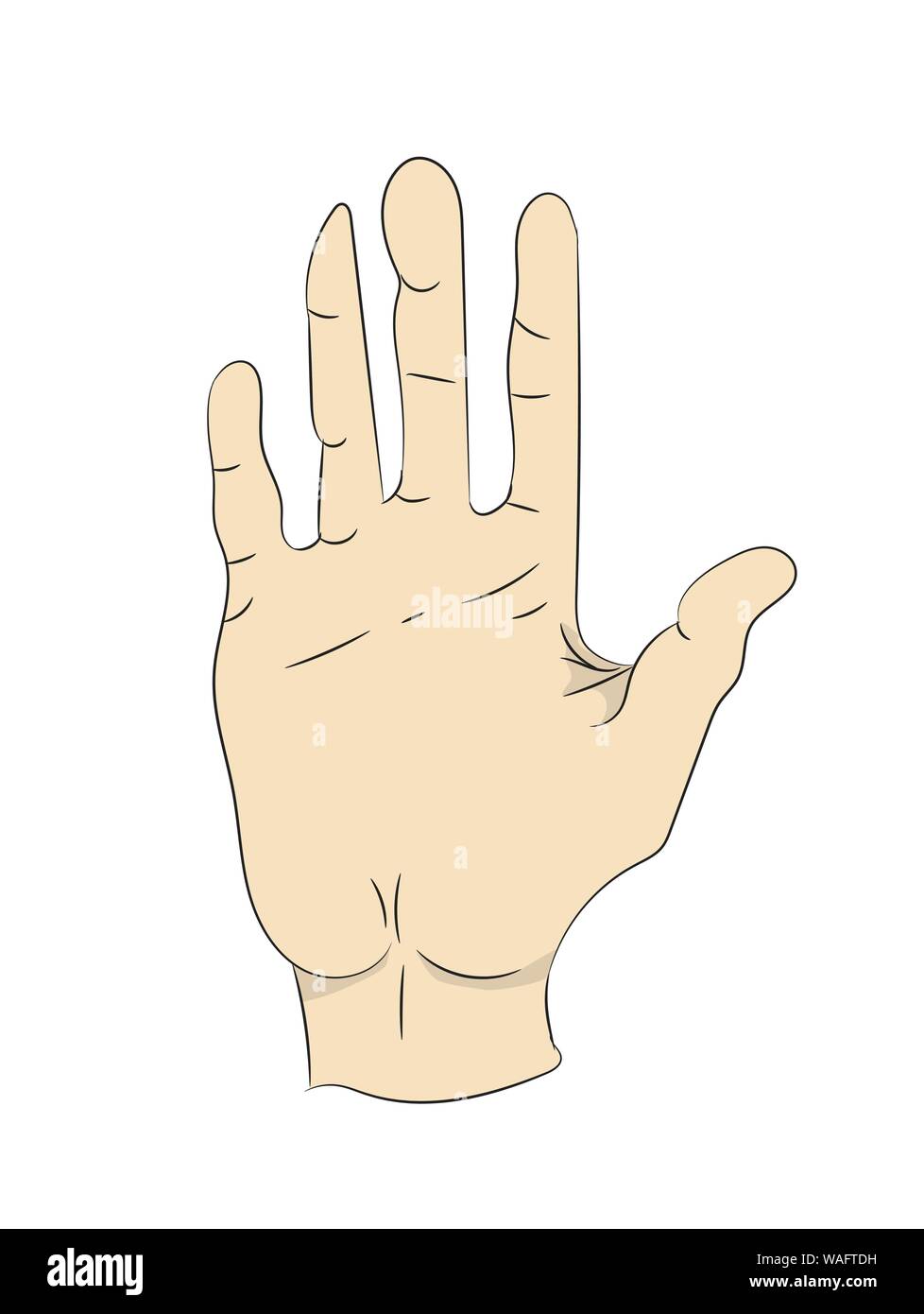 colored hand drawn lines, vector, white background Stock Vector Image ...