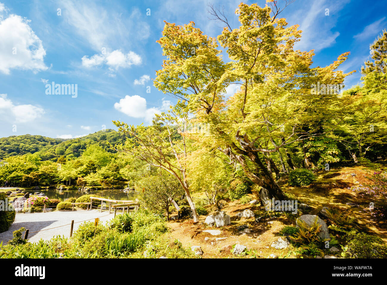 Tenryu-ji Garden and Temple Kyoto Japan Stock Photo - Alamy