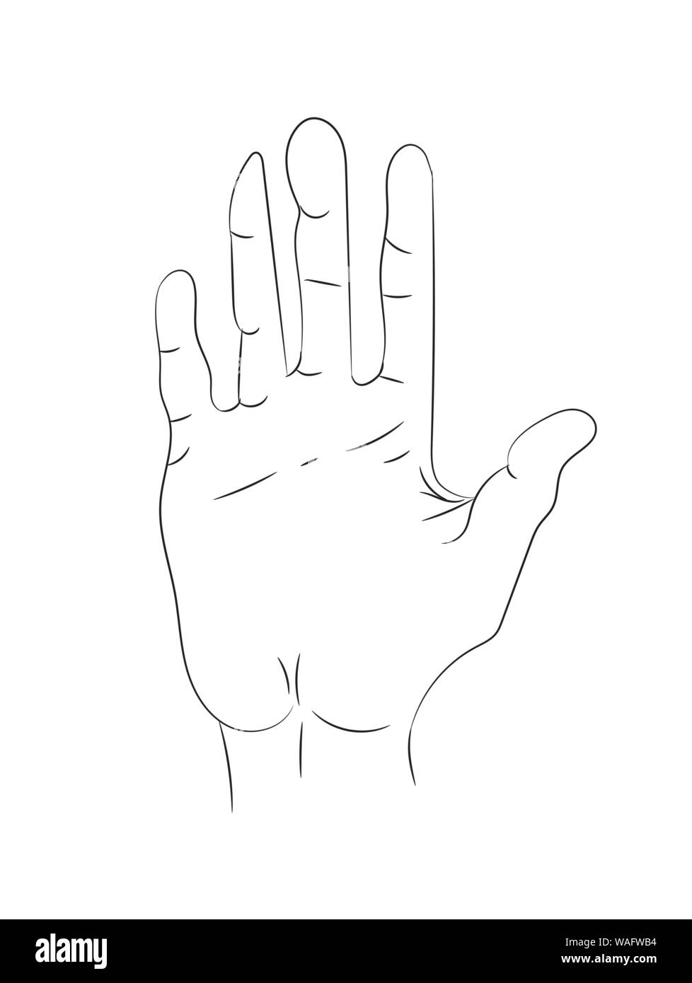 hand drawn lines, white background Stock Vector Image & Art - Alamy