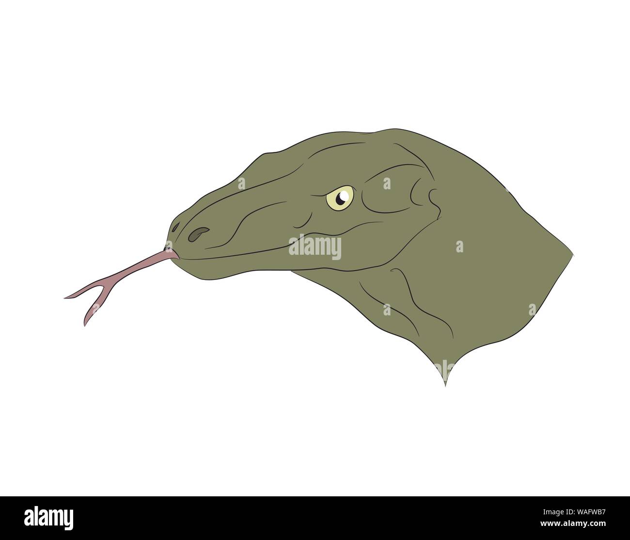vector illustration portrait of a lizard, vector, white background ...
