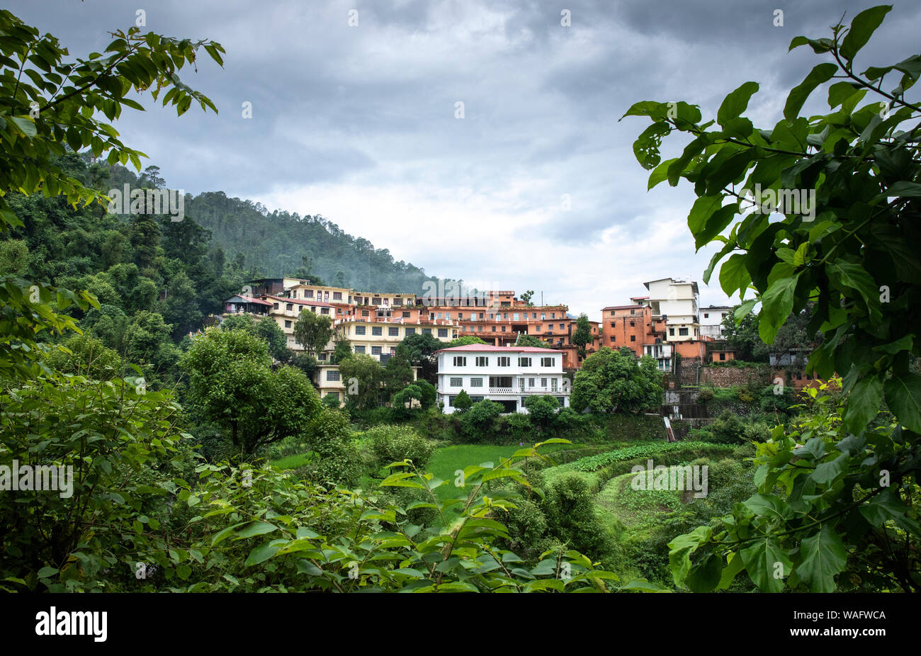 Babaji Ashram in Mount Kailash, Haidakhan, India Stock Photo - Alamy
