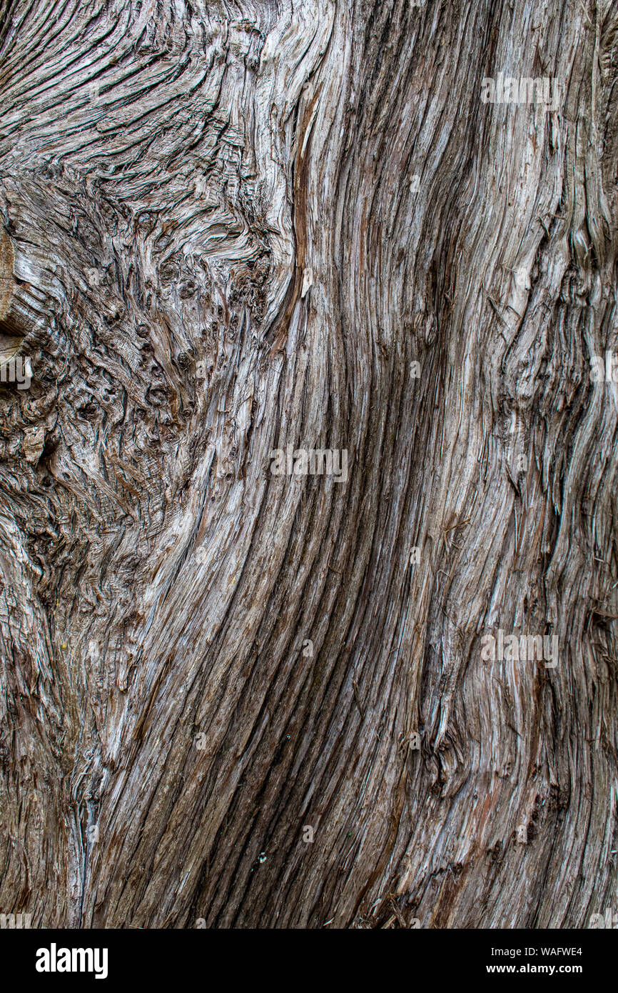 Wooden panel showing grain hi-res stock photography and images - Alamy
