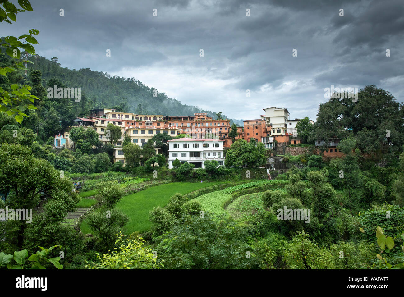 Babaji Ashram in Mount Kailash, Haidakhan, India Stock Photo - Alamy