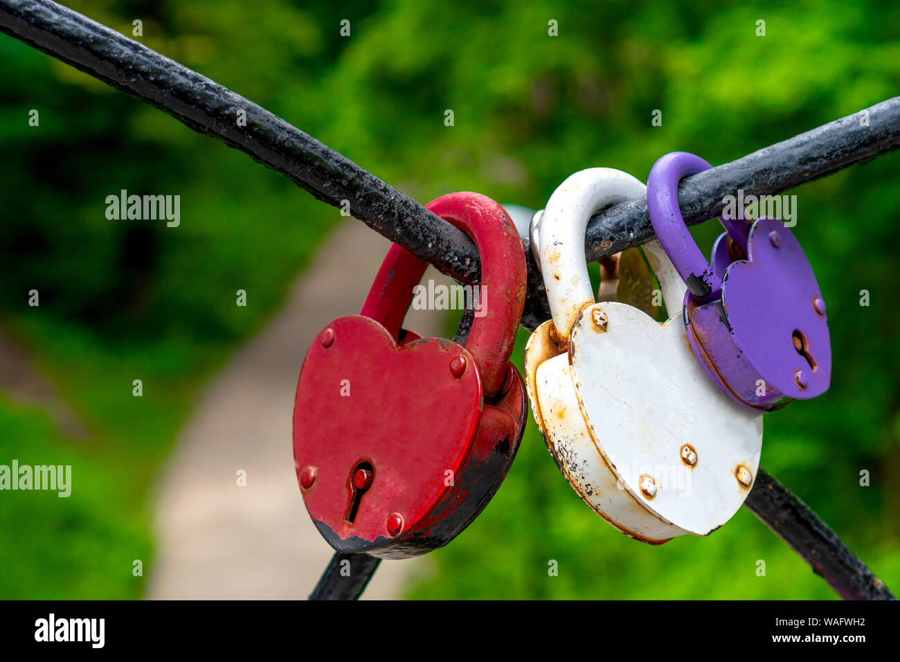 A family of locks - Dad, Mom and Children. Parents and Child. Couple in ...