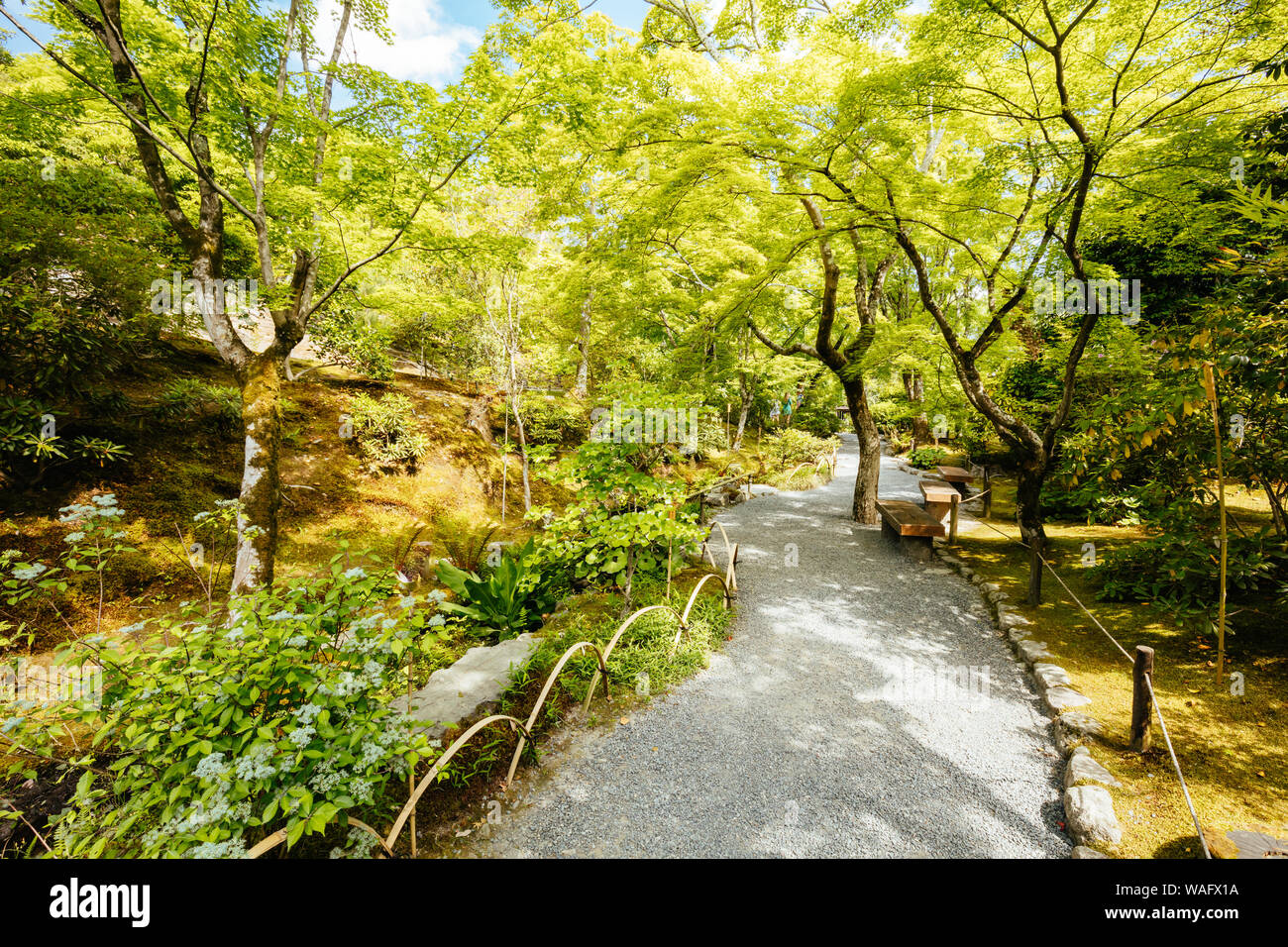 Tenryu-ji Garden and Temple Kyoto Japan Stock Photo - Alamy