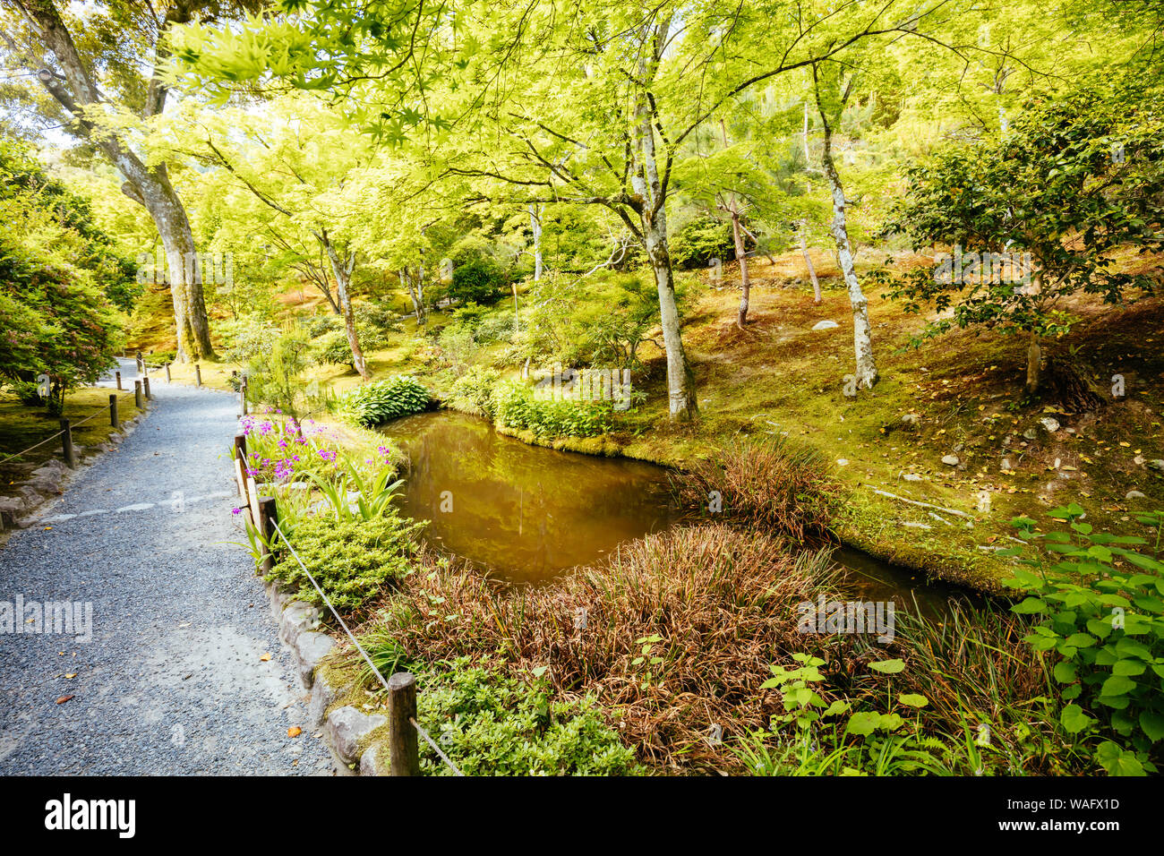 Tenryu-ji Garden and Temple Kyoto Japan Stock Photo - Alamy