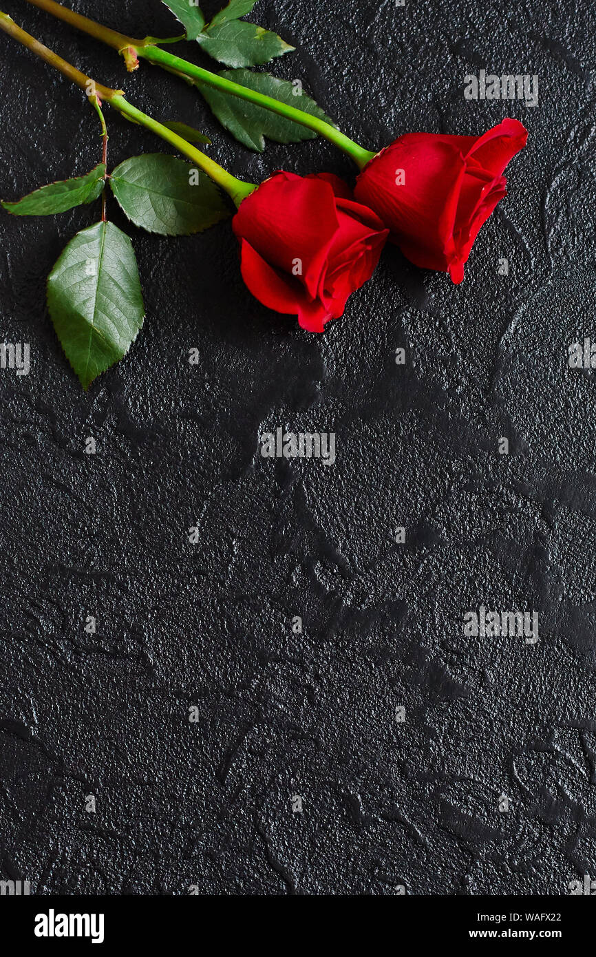 Two red roses on a dark, black stone background. Place for text Stock ...