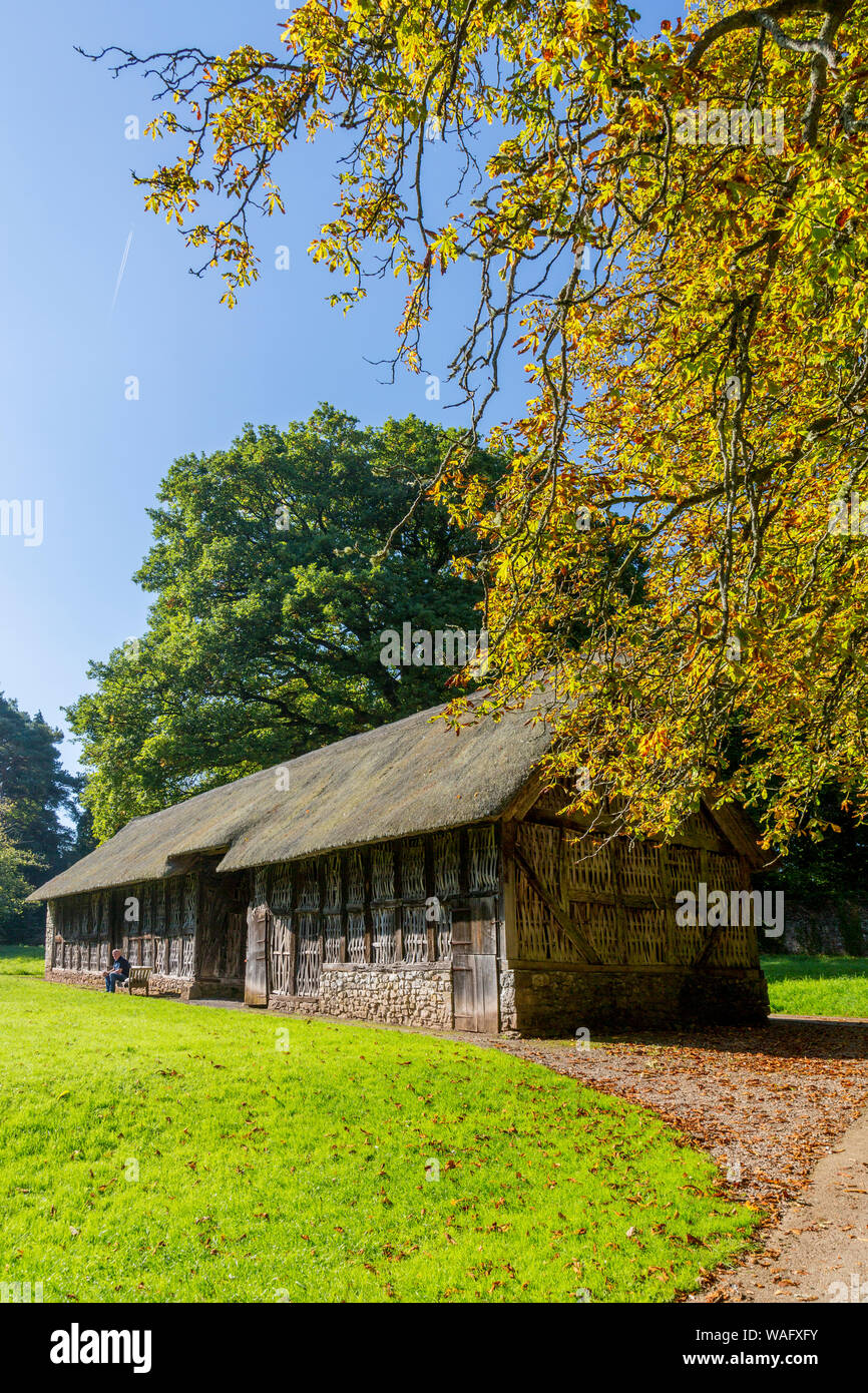 The thatched Stryd Lydan barn from c1550 at St Fagans National Museum ...