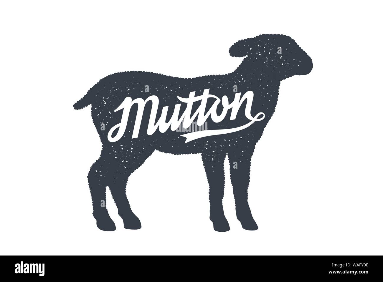 Mutton, Sheep, Lamb. Lettering. Vintage lettering, retro print Stock ...