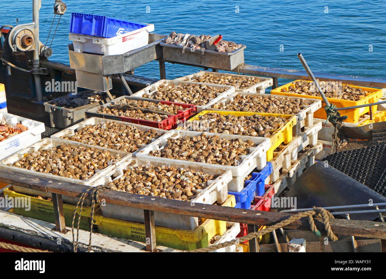 Fish tied up hi-res stock photography and images - Alamy