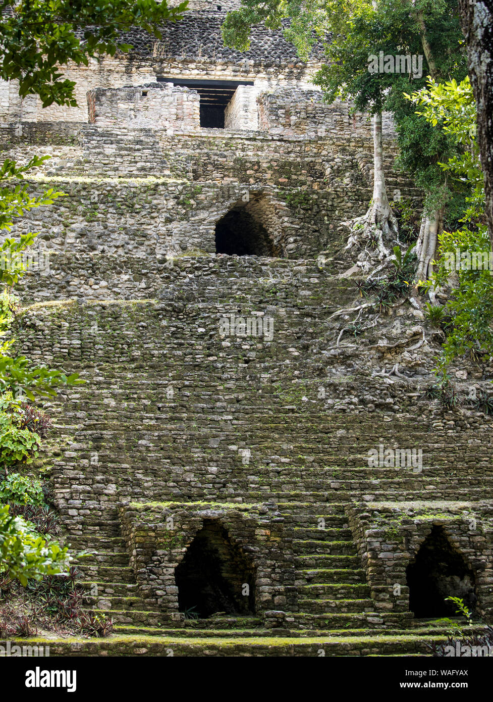 View of the overgrown Mayan temple of Dzibanche in the rain forest of ...