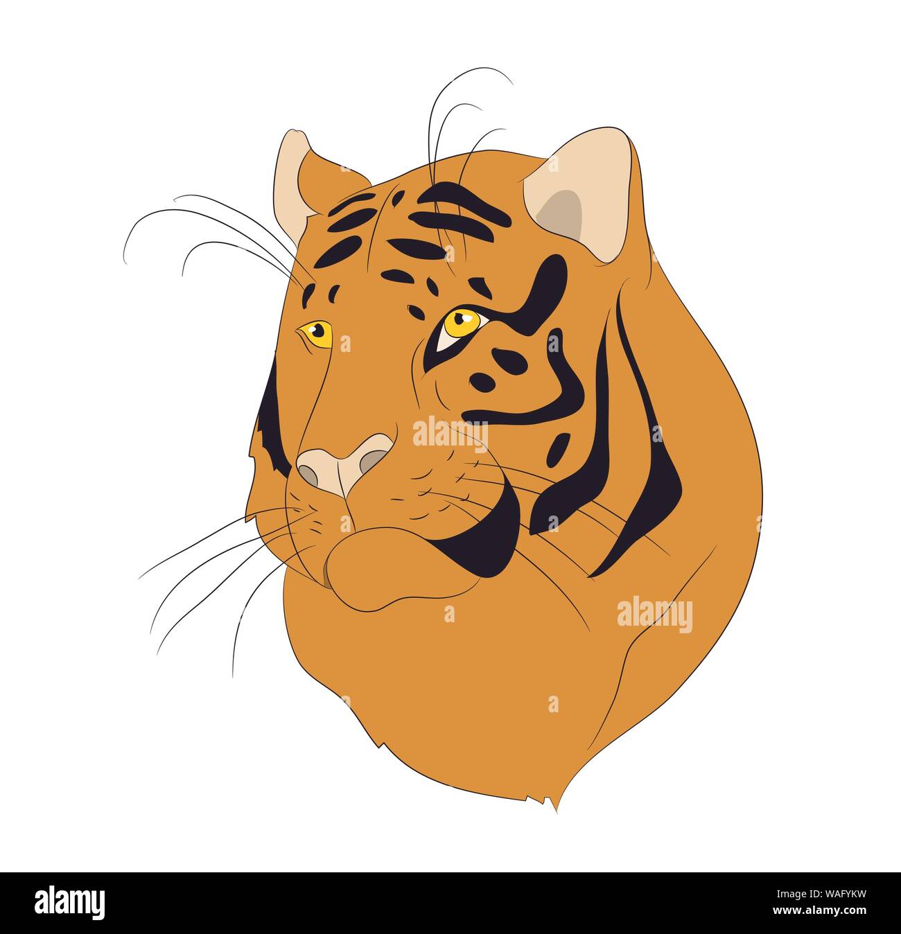vector illustration portrait of an orange tiger, vector, white ...