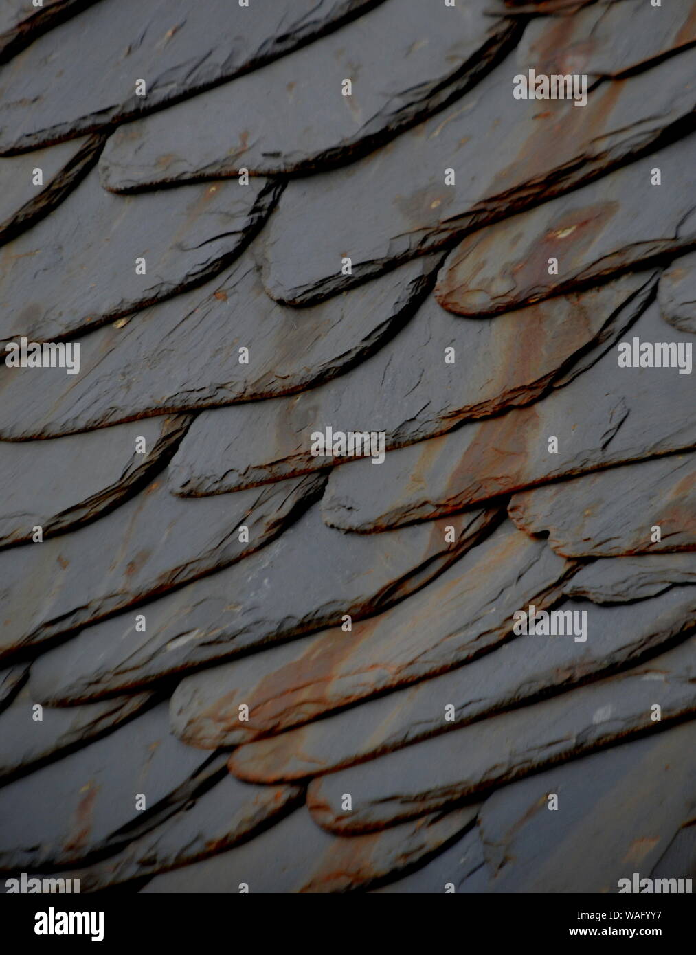Details of shale roof on a house built from schist in Piodão, one of ...