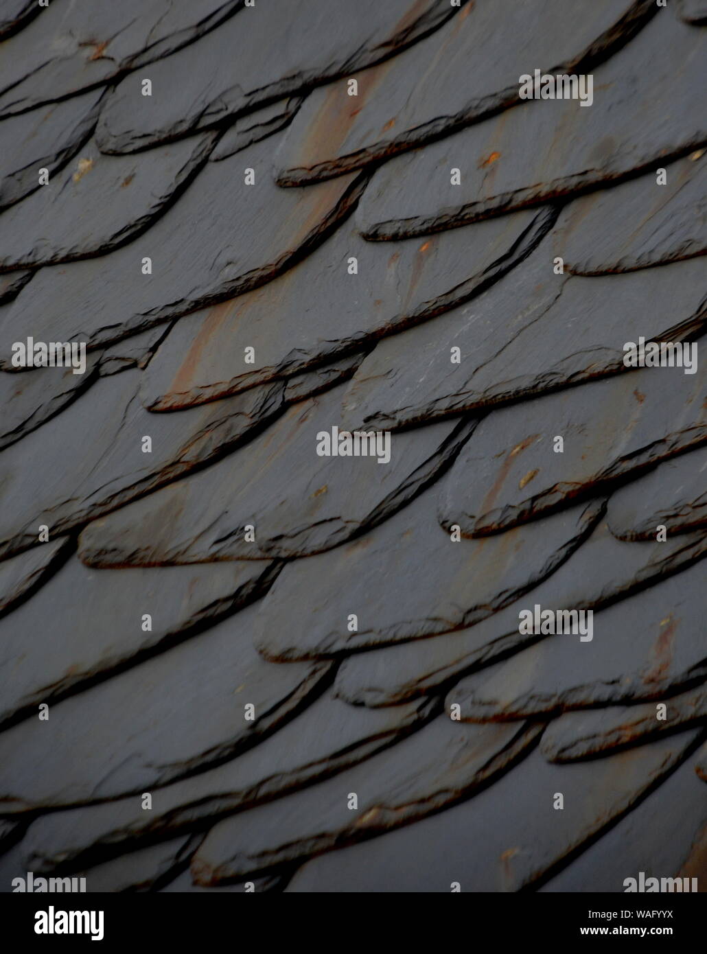 Details of shale roof on a house built from schist in Piodão, one of ...