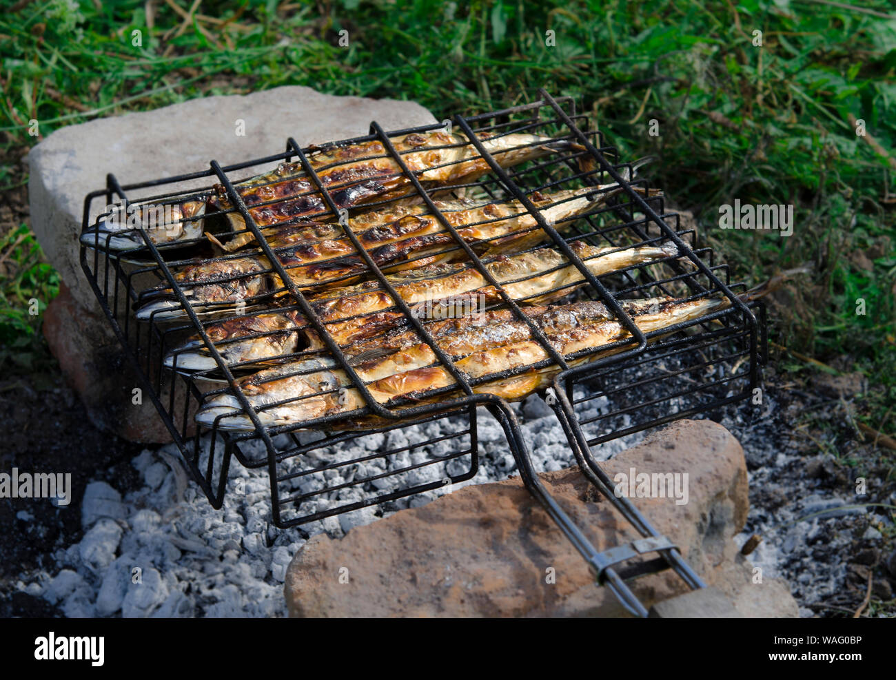 Protein lattice hi-res stock photography and images - Alamy