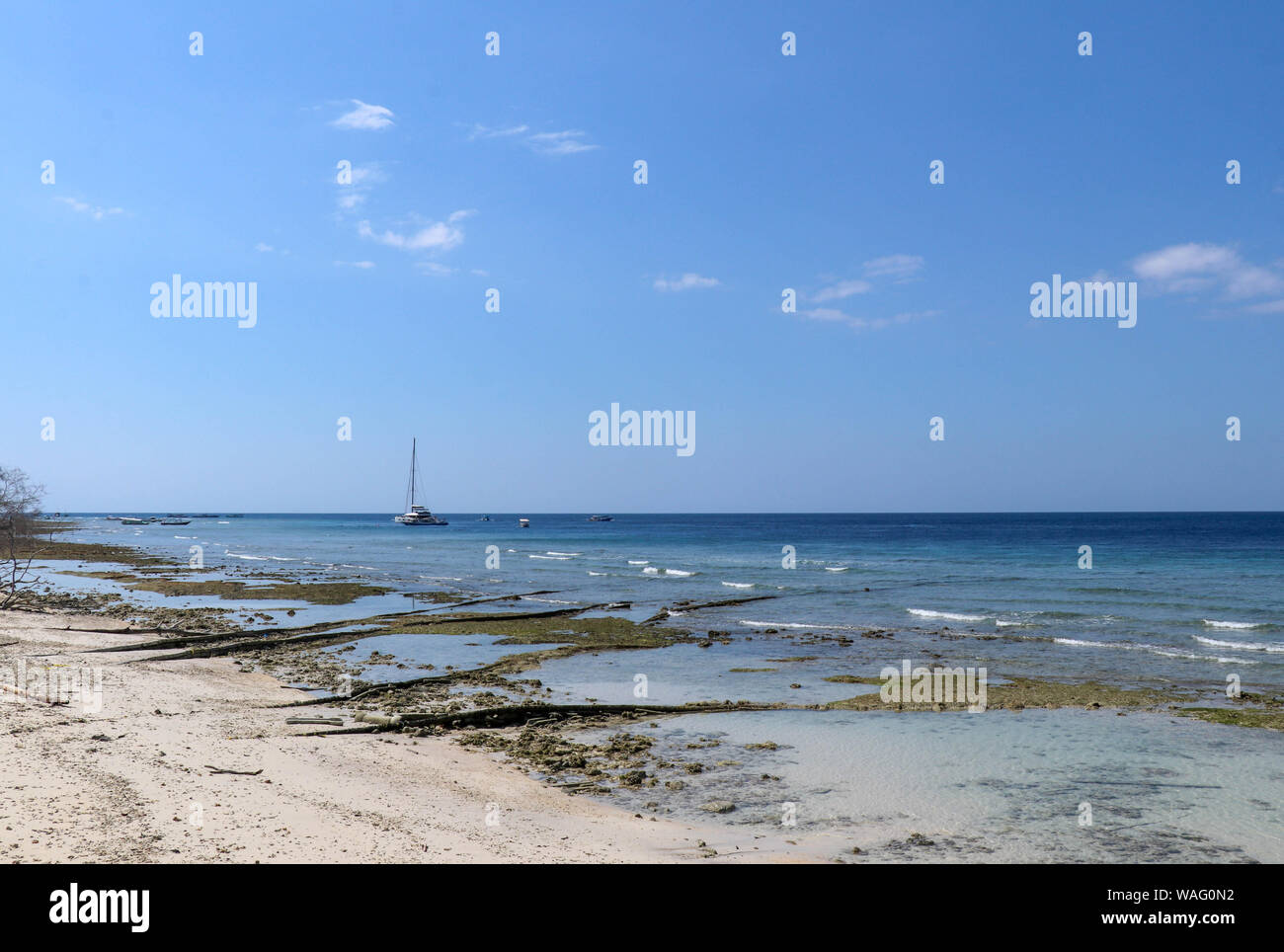 Tide pools with oyster shells in Gili Meno Island in Indonesia. View of ...
