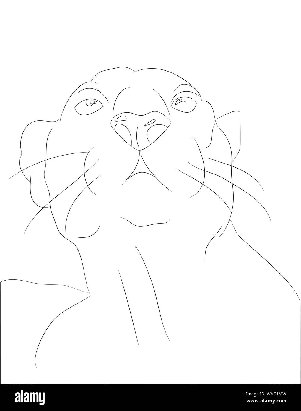 Dibujo De Pantera Simple Lion Line Drawing Vectors Download Free
