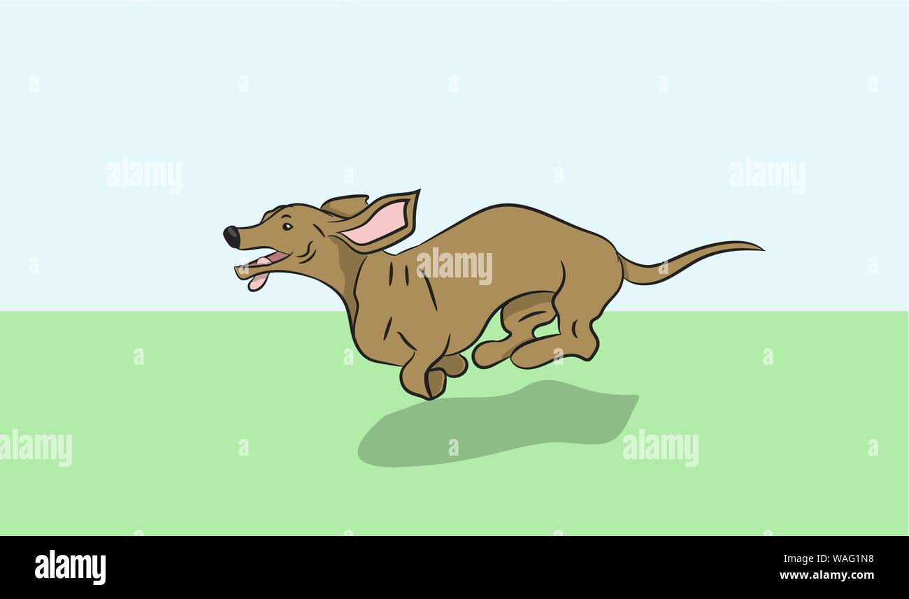 Running dachshund puppy Stock Vector Images - Alamy