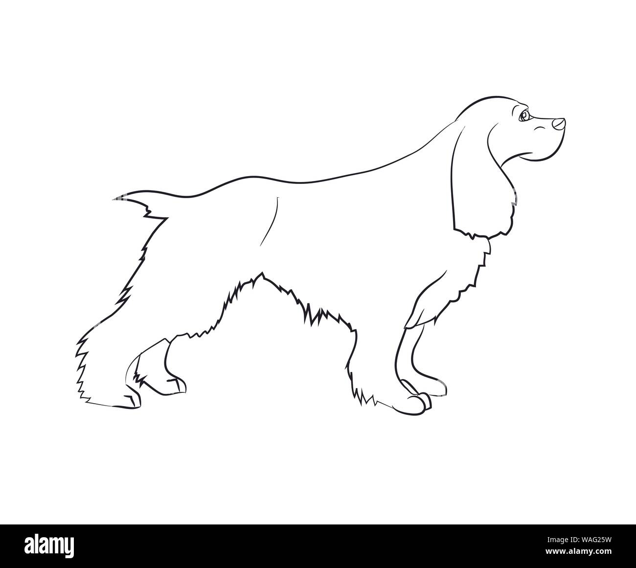 dog stands lines, vector, white background, dog stands Stock Vector ...