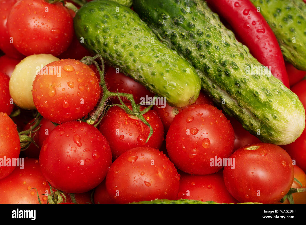 Cucumbers top view hi-res stock photography and images - Alamy