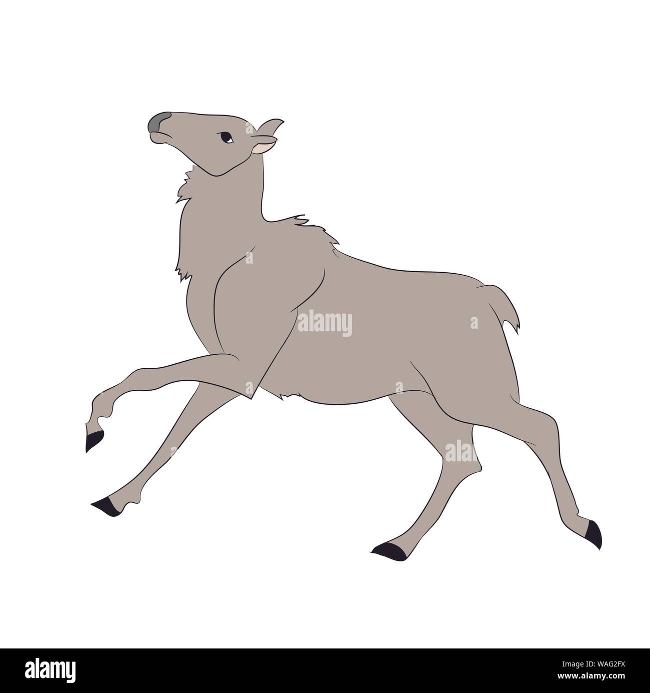 vector illustration of a deer that runs, vector, white background Stock ...