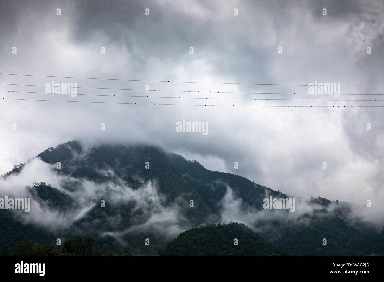 Nature of Haidakhan Valley at the back of Babaji Ashram Stock Photo - Alamy