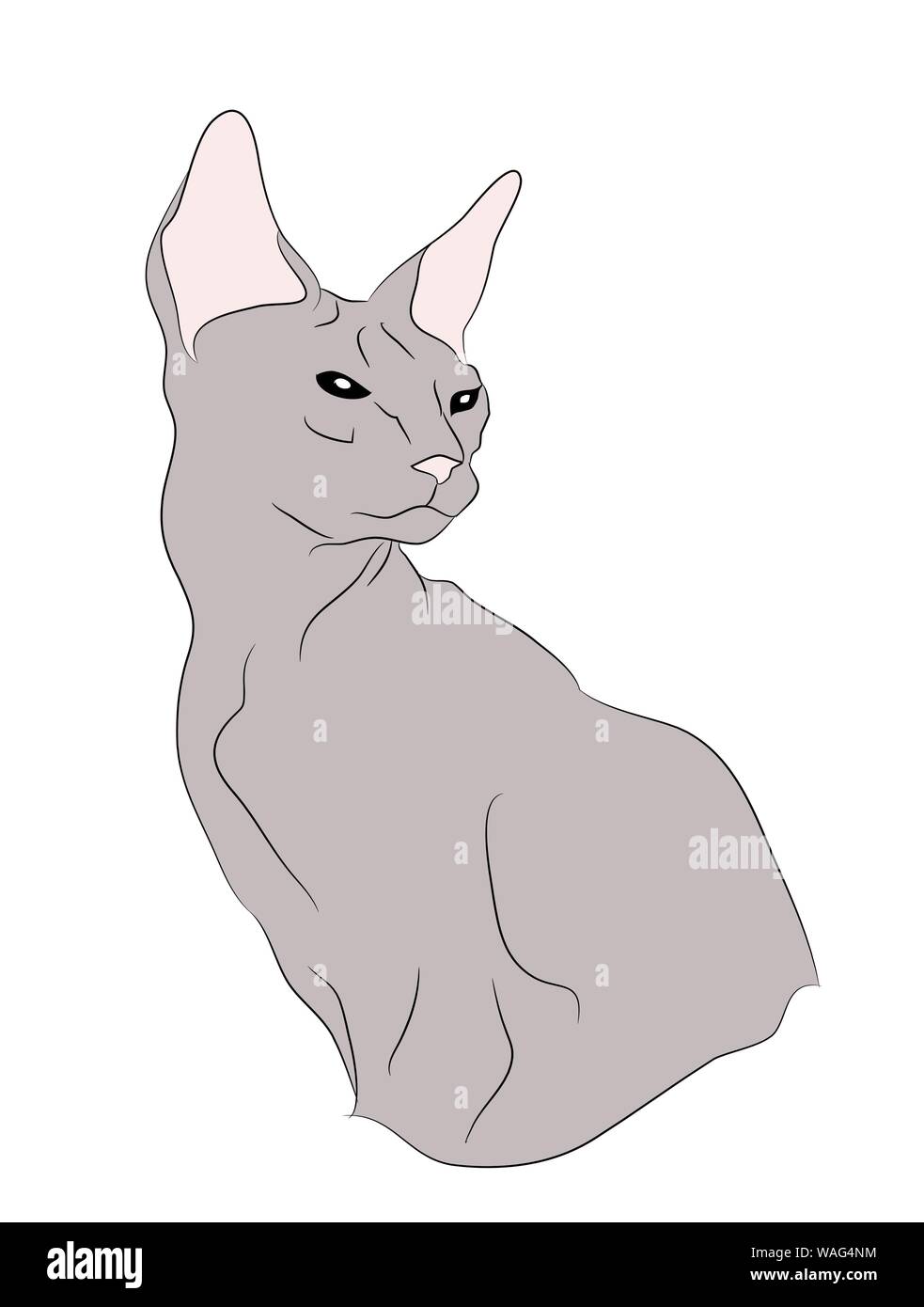 cat portrait, vector, white background, color drawing Stock Vector ...