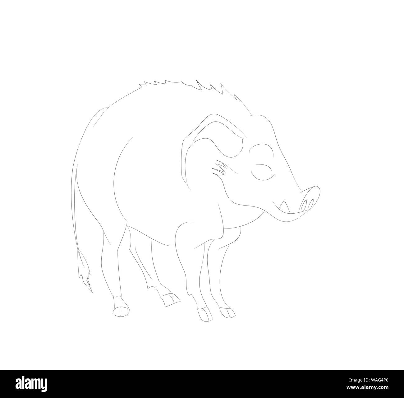 vector illustration of a boar who is standing, drawing lines, vector ...