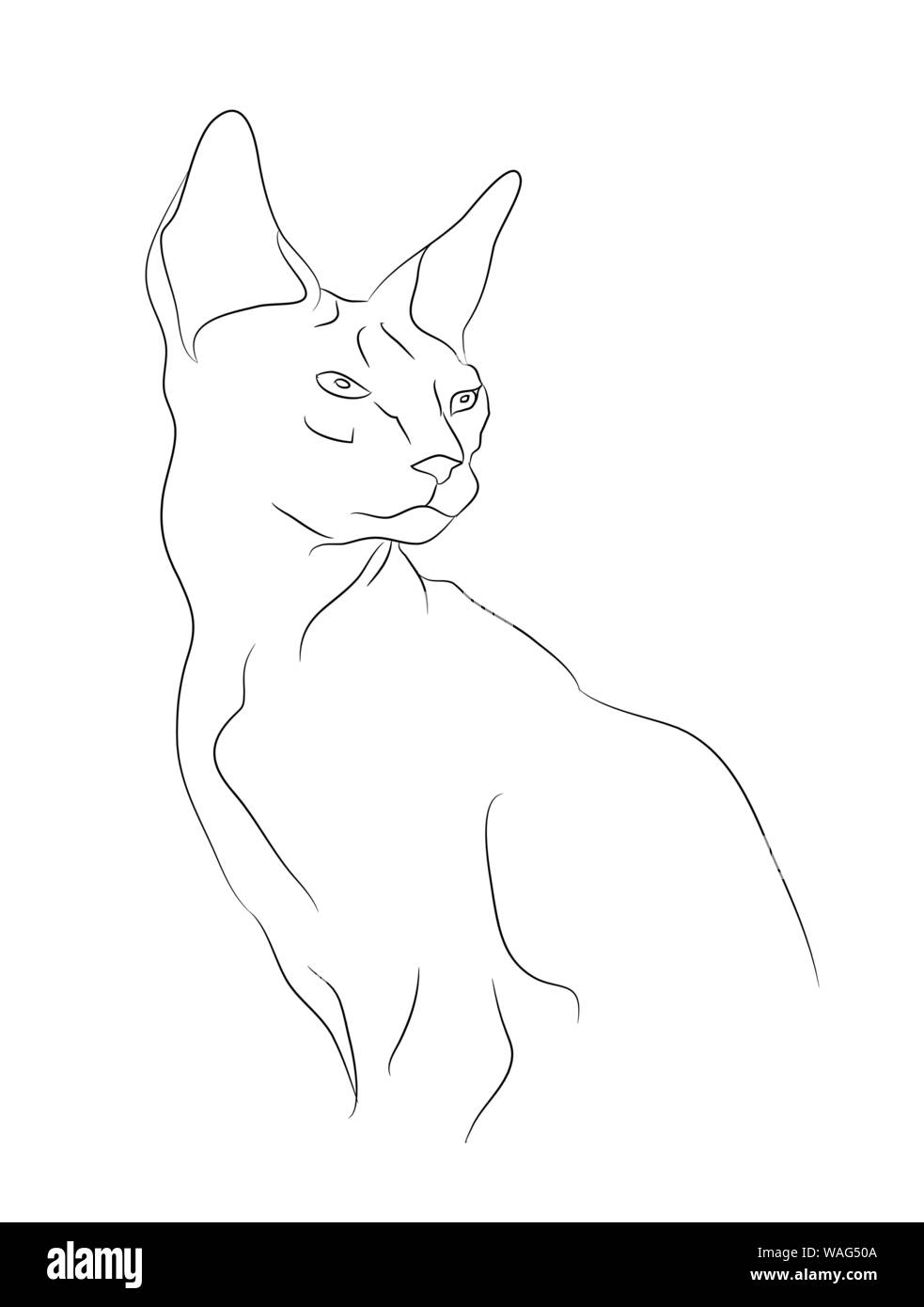 cat portrait, lines, vector, white background, cat portrait Stock ...