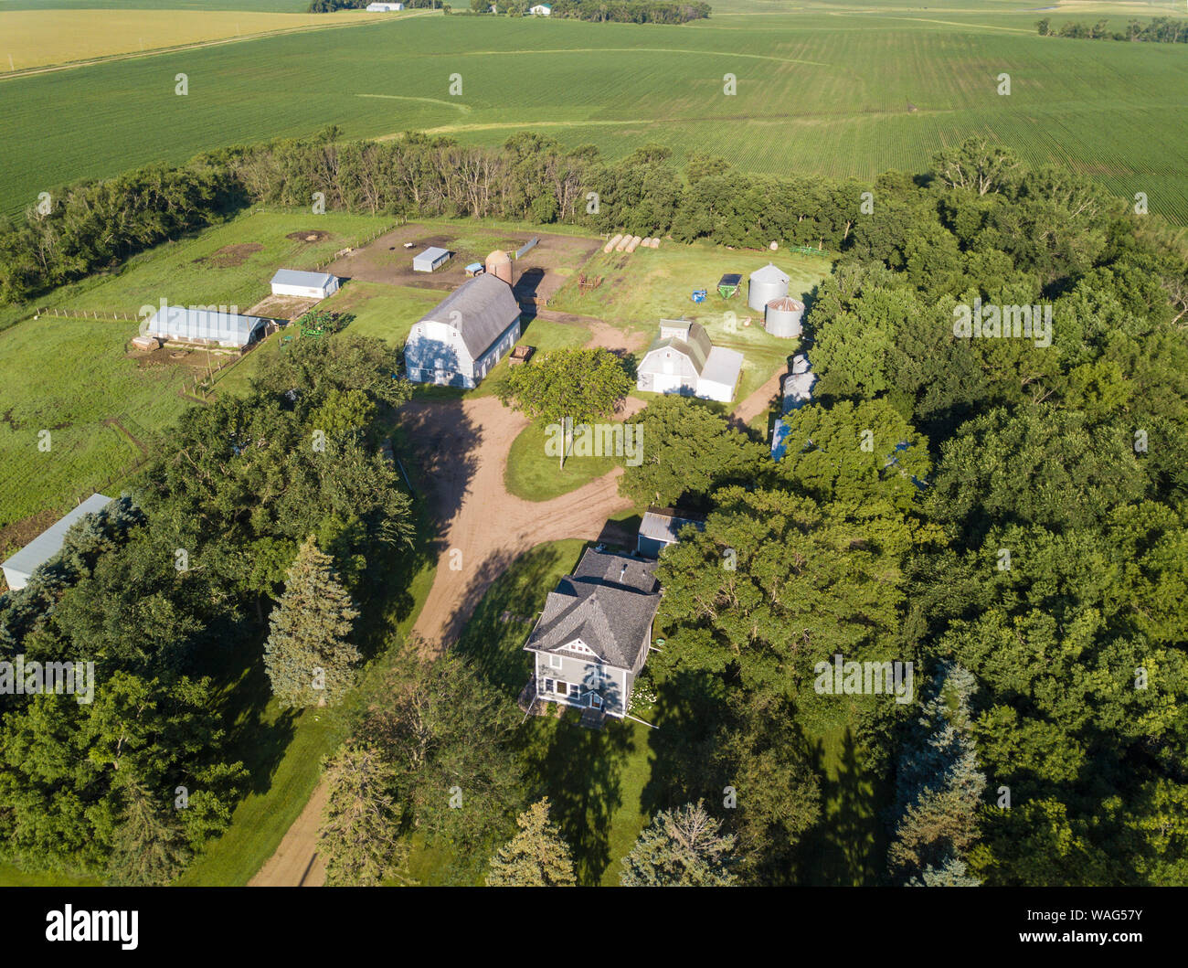 Aerial view of quaint farmhouse and barns on a farm in South Dakota ...