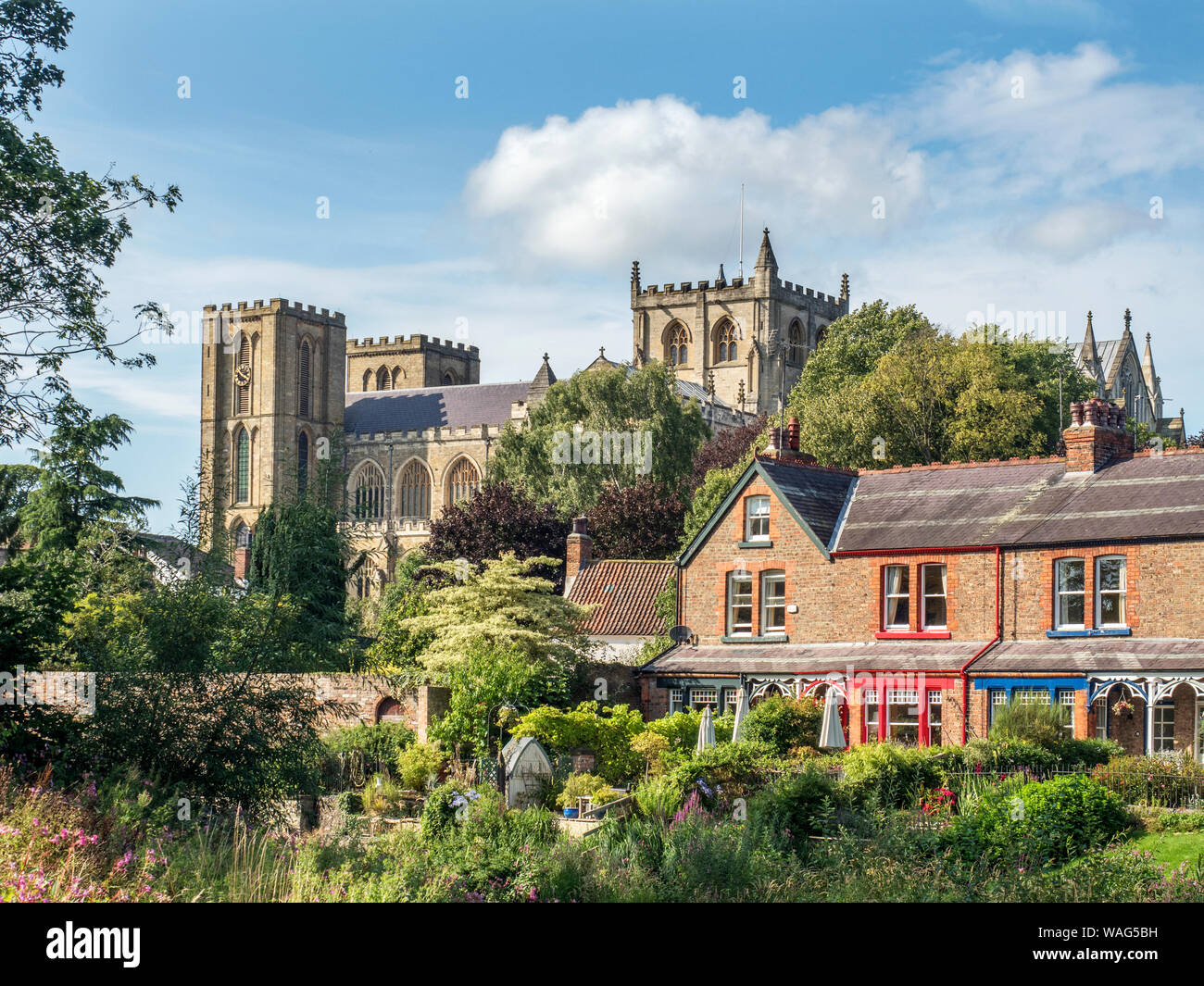 Ripon Cathedral and houses on Skellfield Terrace from the bank of the ...