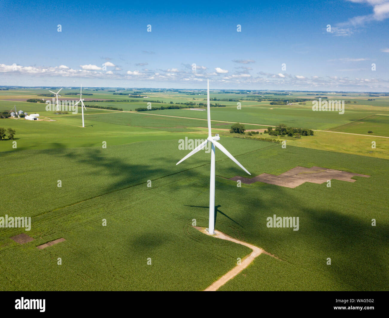 Wind turbines spinning in corn fields near Pipestone, Minnesota Stock ...